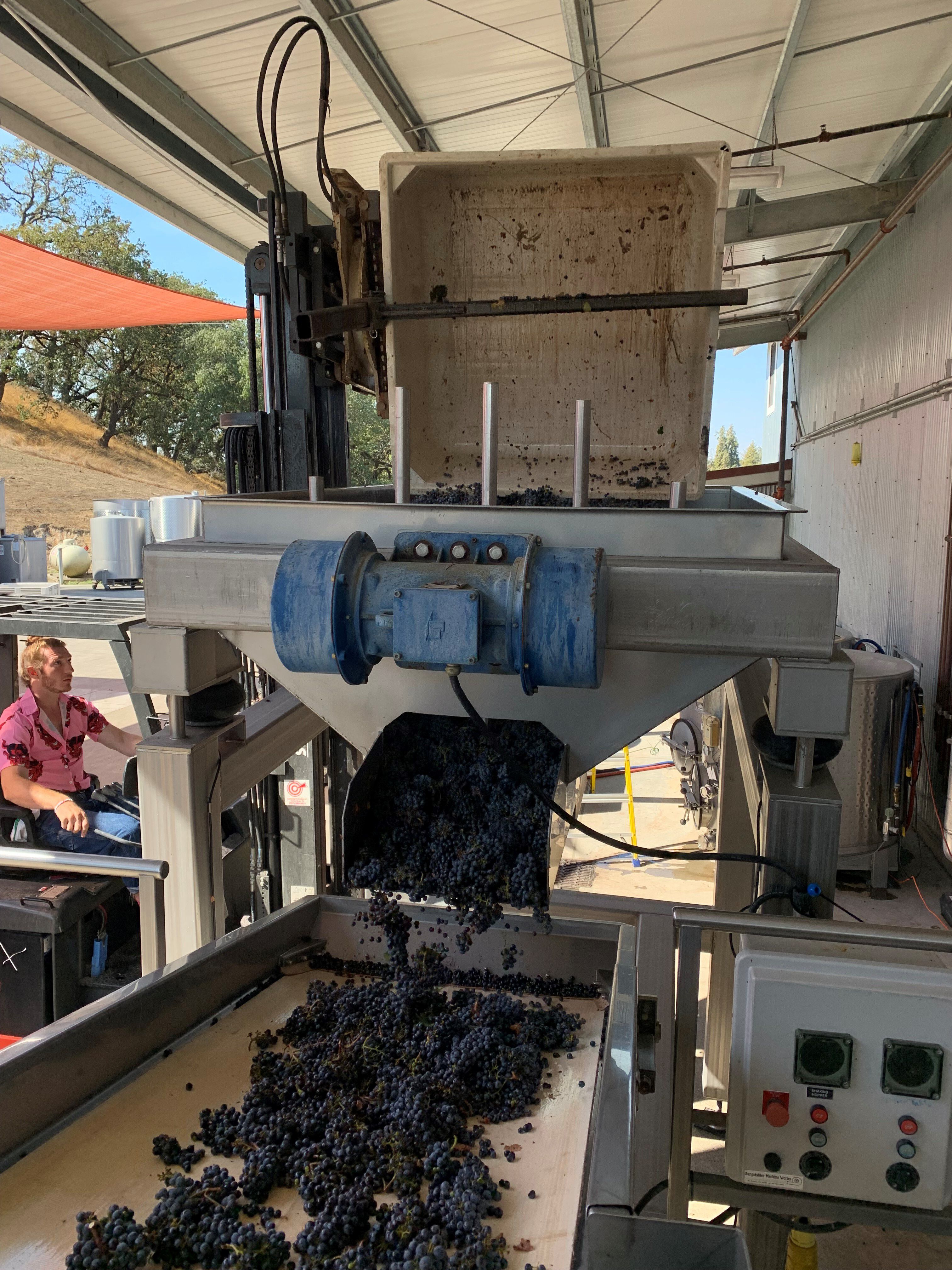Arrowood's Winemaker Recaps The 2021 Harvest